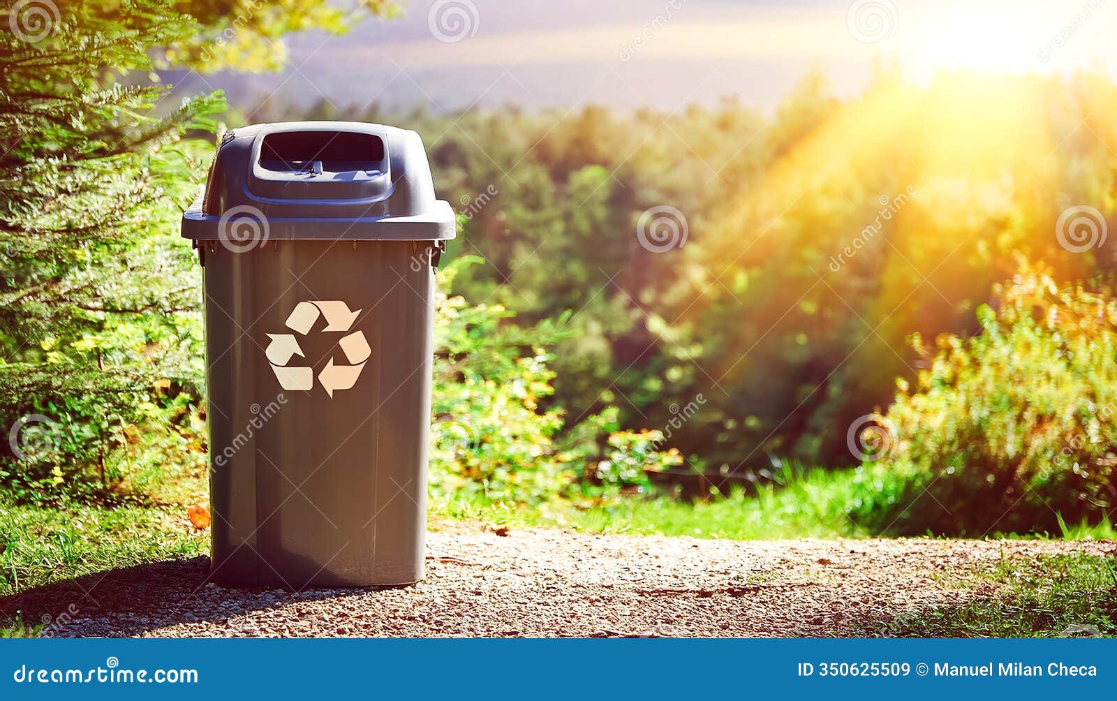 A Recycling Bin Placed on a Sunlit Forest Pathway, Symbolizing the ...