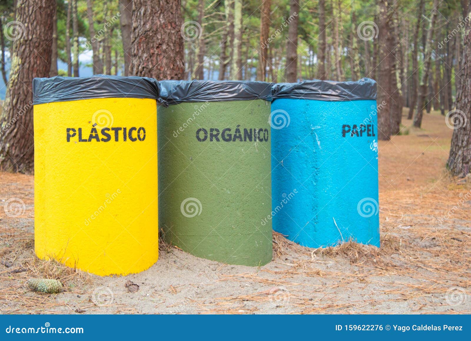 Recycling Bins between Trees Stock Photo - Image of earth, three: 159622276