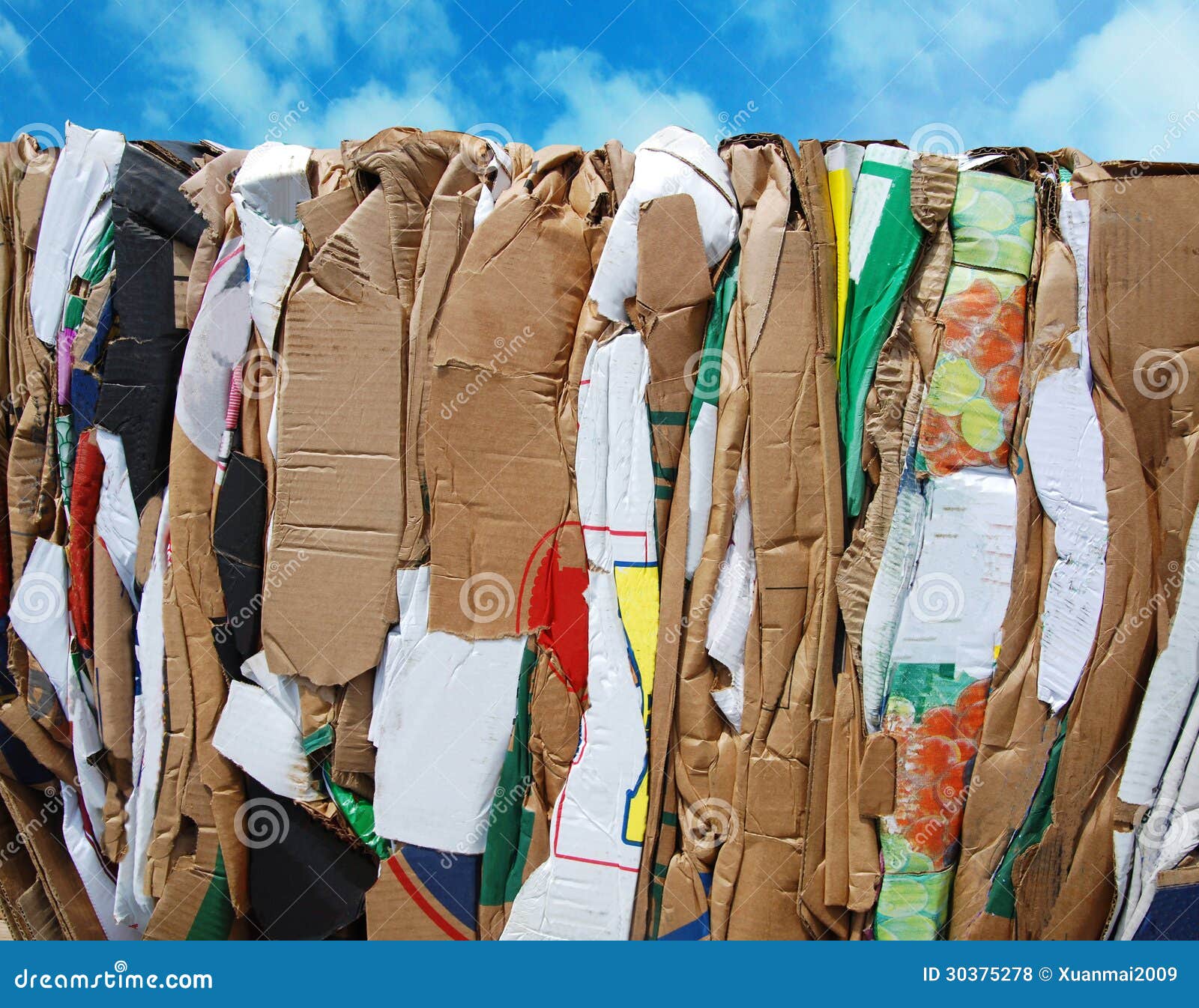 Recycling cartons stock photo. Image of paberbales, greenhouse - 30375278