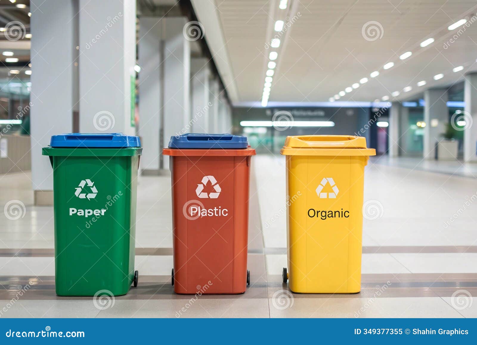 Recycling Concept. Bins for Different Garbage. Waste Management Concept ...