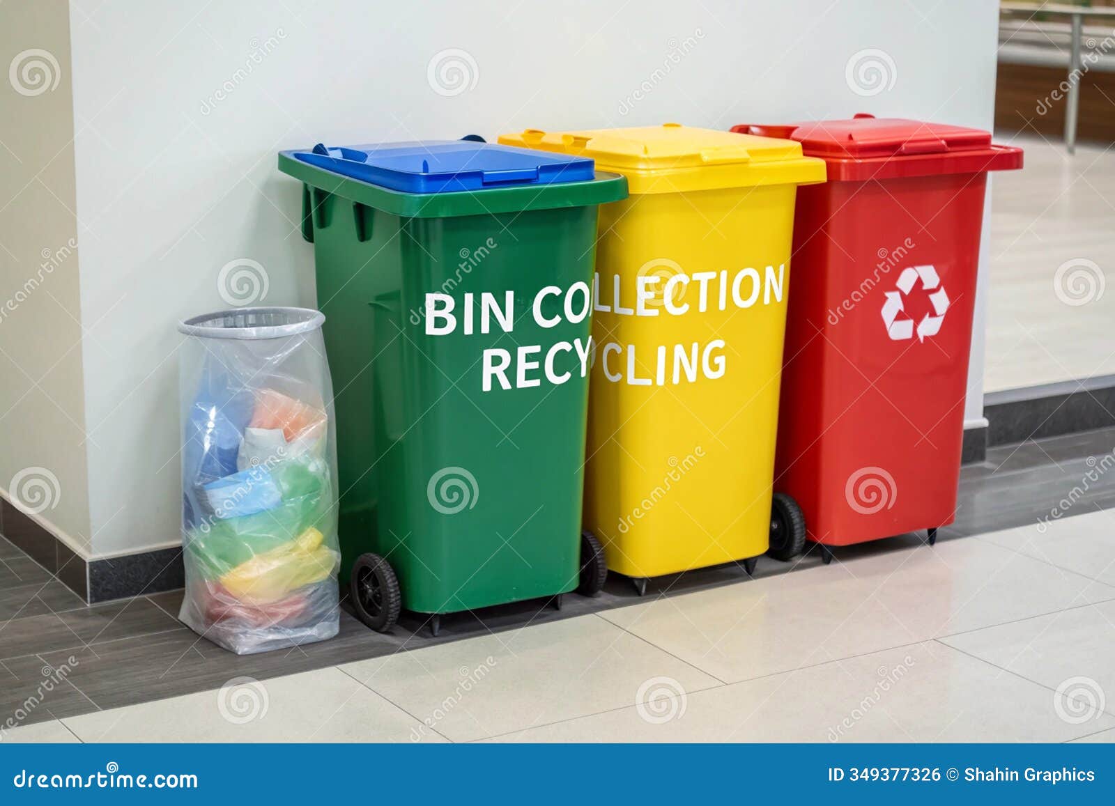 Recycling Concept. Bins for Different Garbage. Waste Management Concept ...