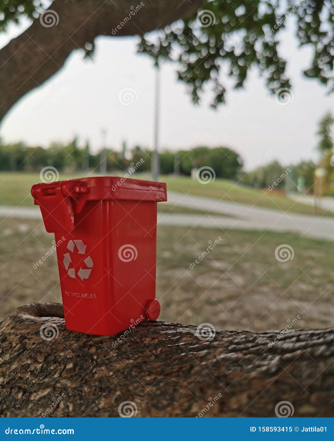 Recycling is everywhere stock image. Image of recycling - 158593415