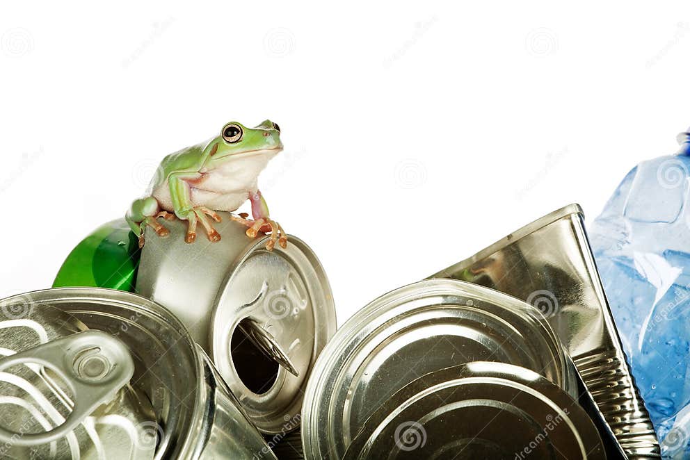 Recycling frog stock photo. Image of green, earth, caerulea - 10983556