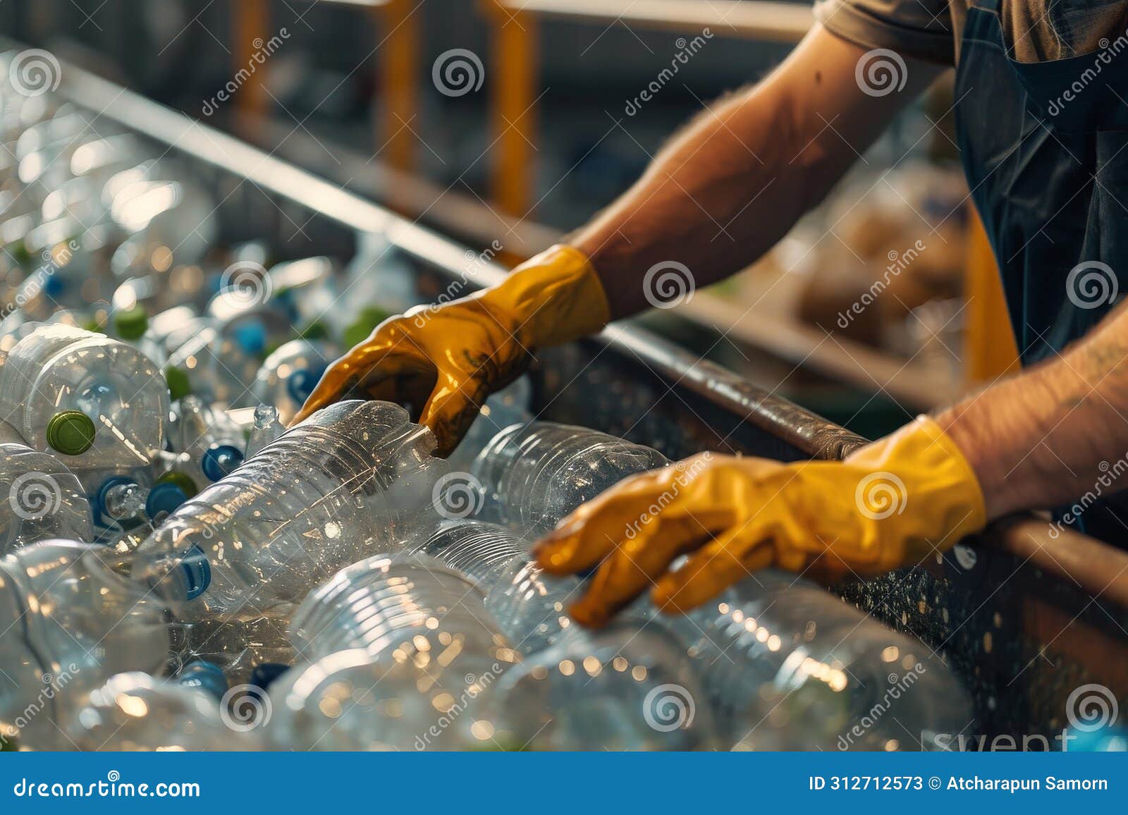 Recycling and Sorting Garbage from Plastic Bottles, a Hands in Gloves ...