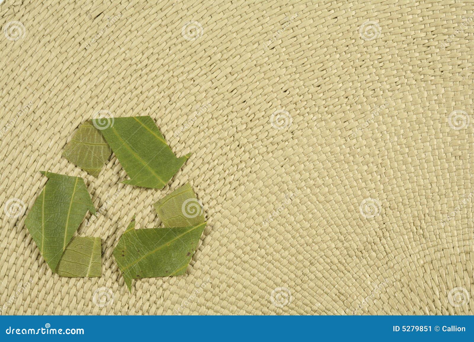 Recycling Symbol Made from Leaves Stock Image - Image of arrow ...