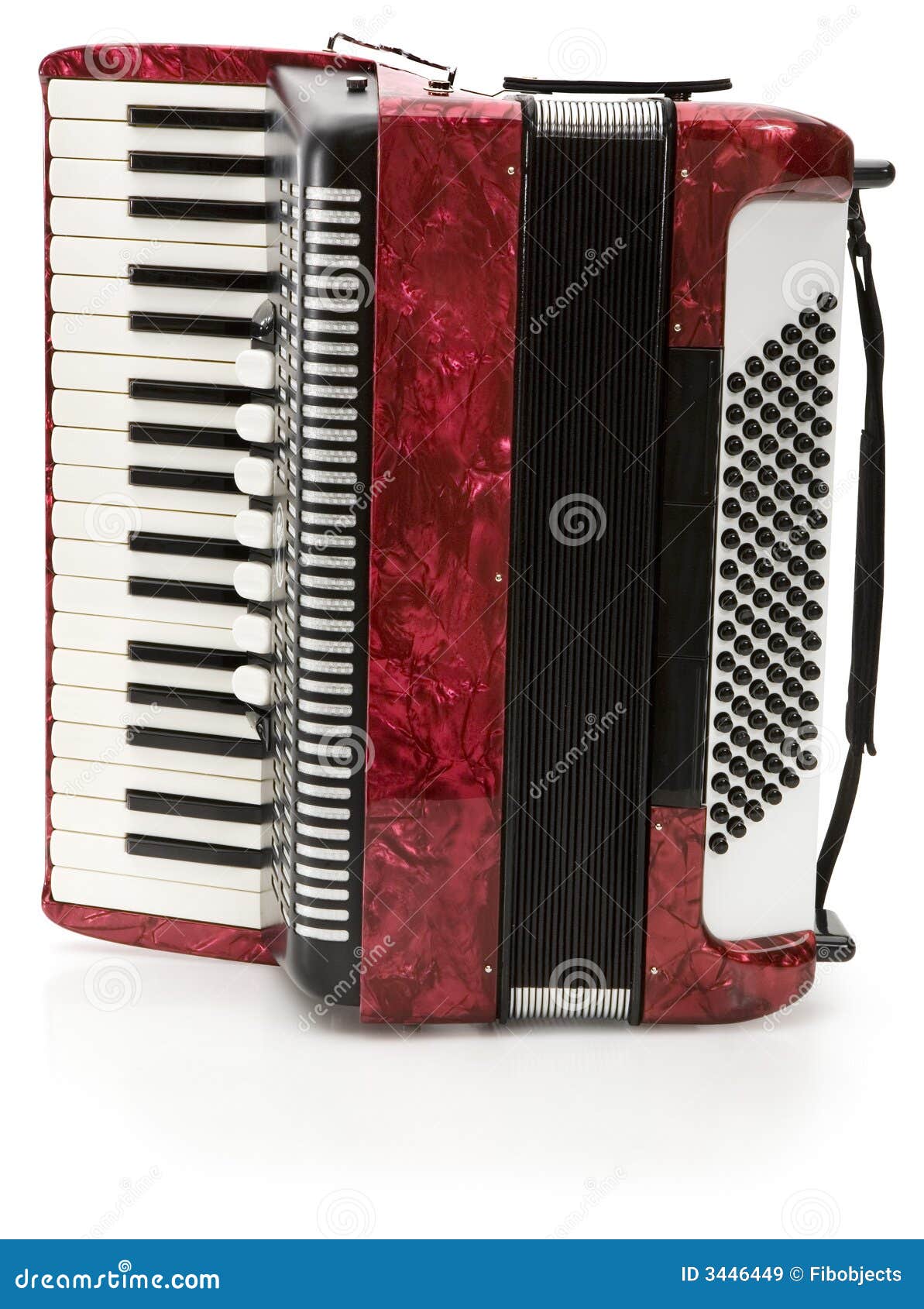 Red Accordion stock image. Image of leisure, tune, close - 3446449