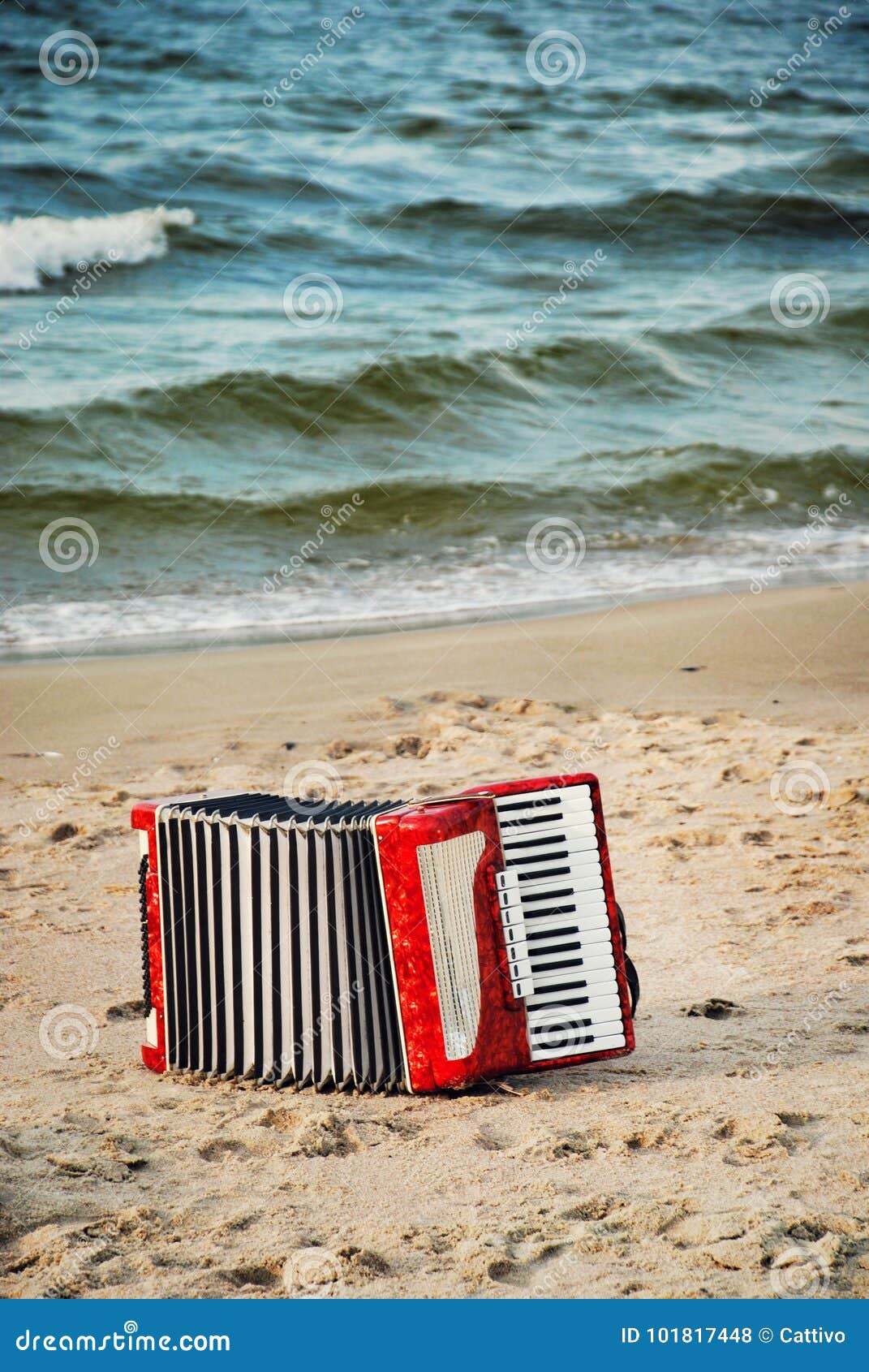 A red accordion on a beach stock photo. Image of musical - 101817448