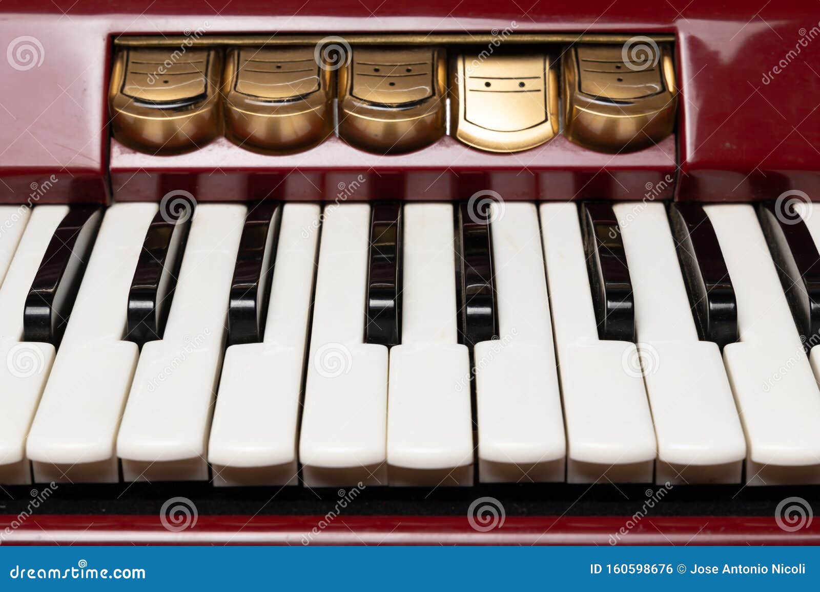 Red accordion close up stock photo. Image of object - 160598676