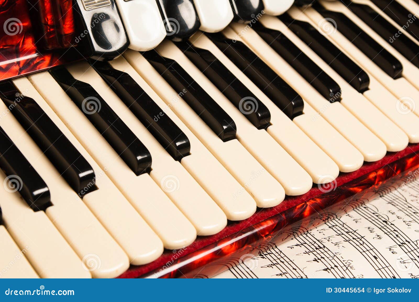 Red accordion, close up stock photo. Image of dust, music - 30445654