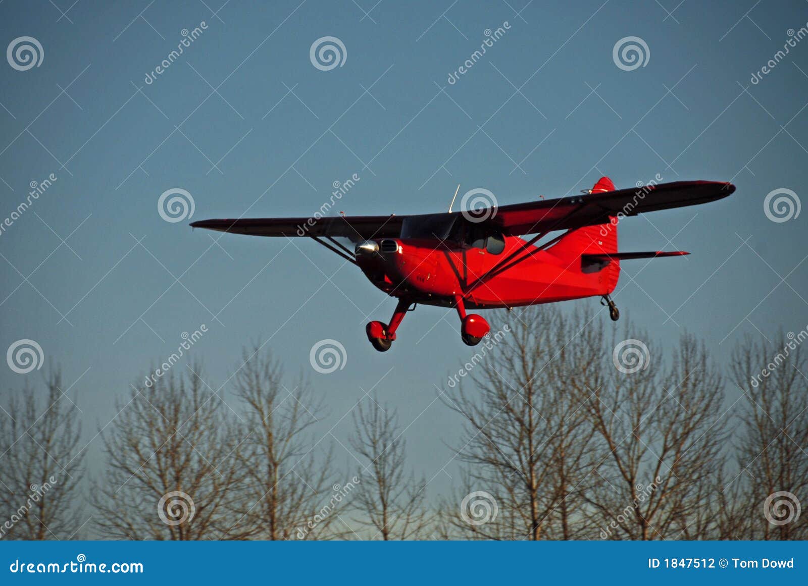 Red Airplane stock photo. Image of fall, dragger, trees - 1847512
