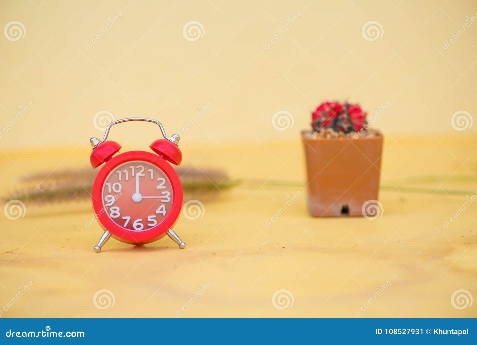 Red Alarm Clock and Cactusin Pot Stock Image - Image of home, alert ...