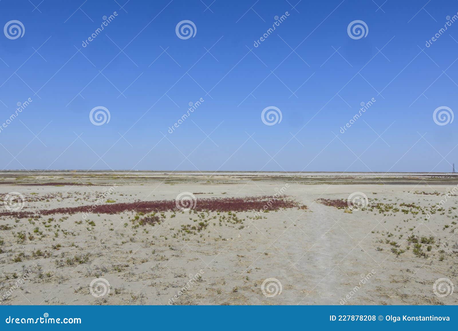Red Algae Grow in Salt Desert Landscape Stock Photo - Image of salt ...