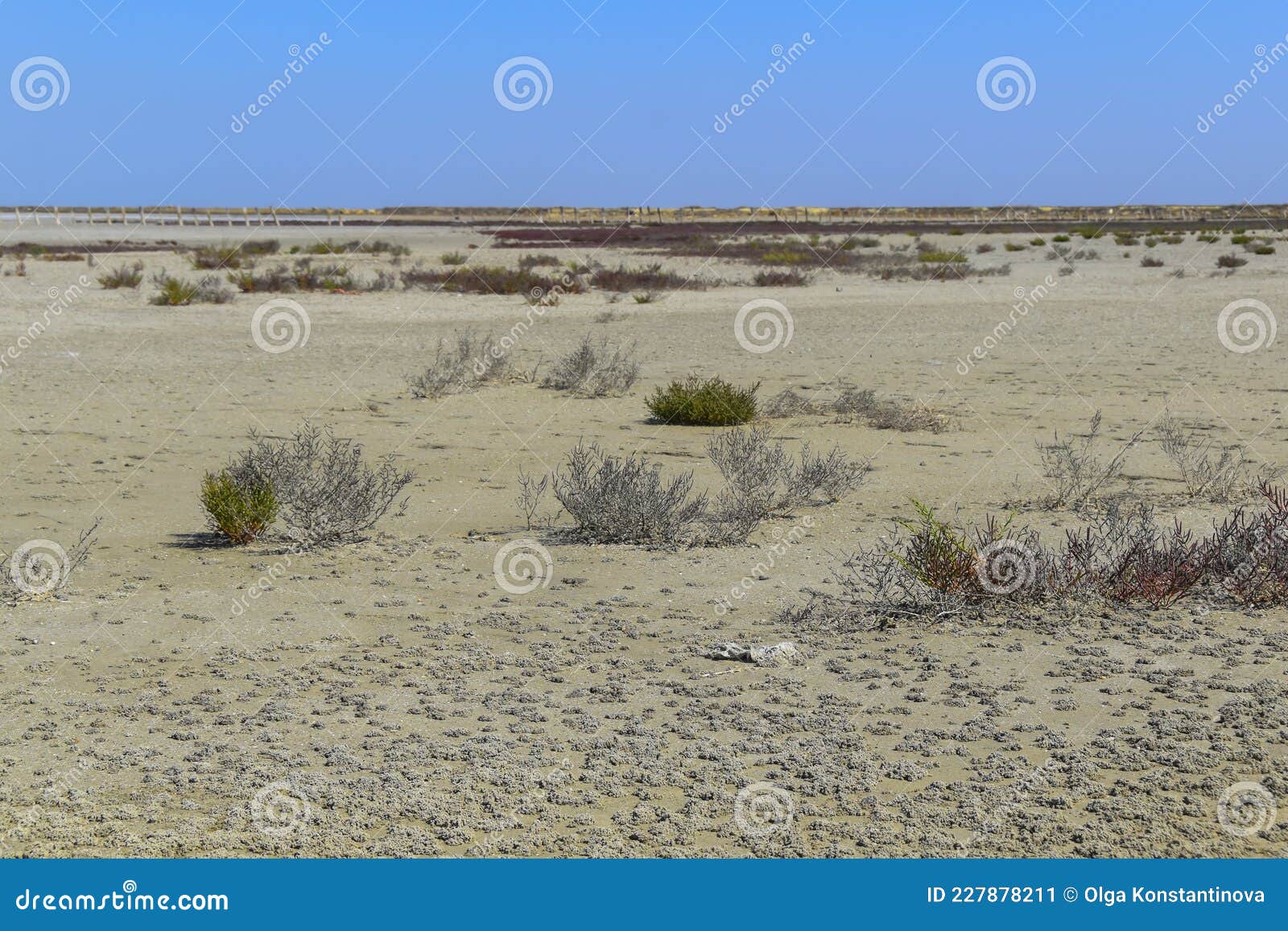 Red Algae Grow in Salt Desert Landscape Stock Image - Image of desert ...