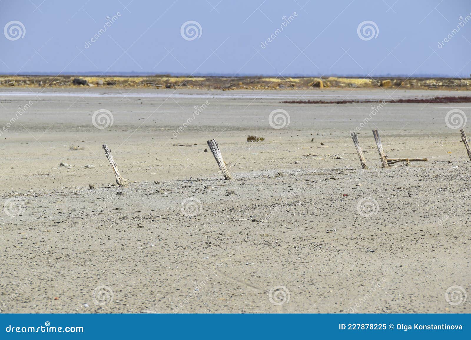 Red Algae Grow in Salt Desert Landscape Stock Image - Image of ...