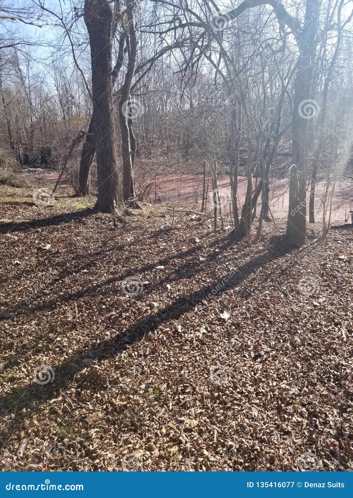 Red algae lake stock image. Image of woods, algae, lake - 135416077