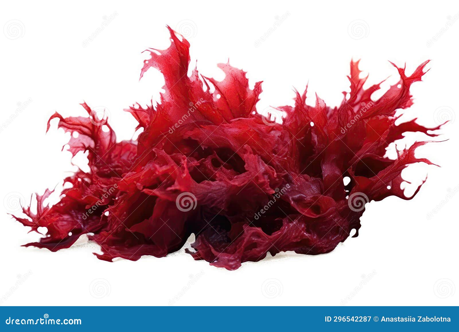 Red Algae Algae on White Background. Generative AI Stock Illustration ...