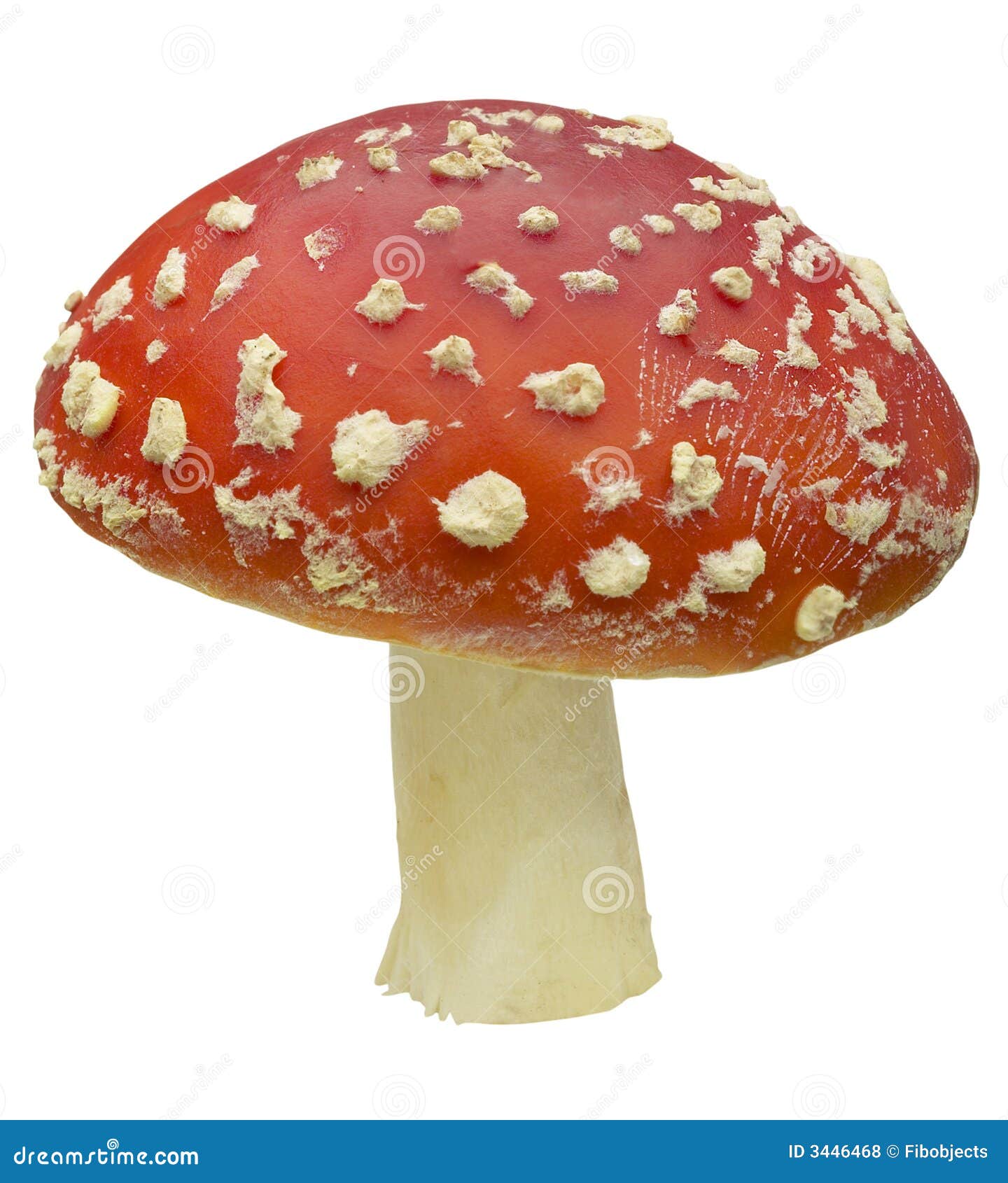 Agarik Photos - Free & Royalty-Free Stock Photos from Dreamstime