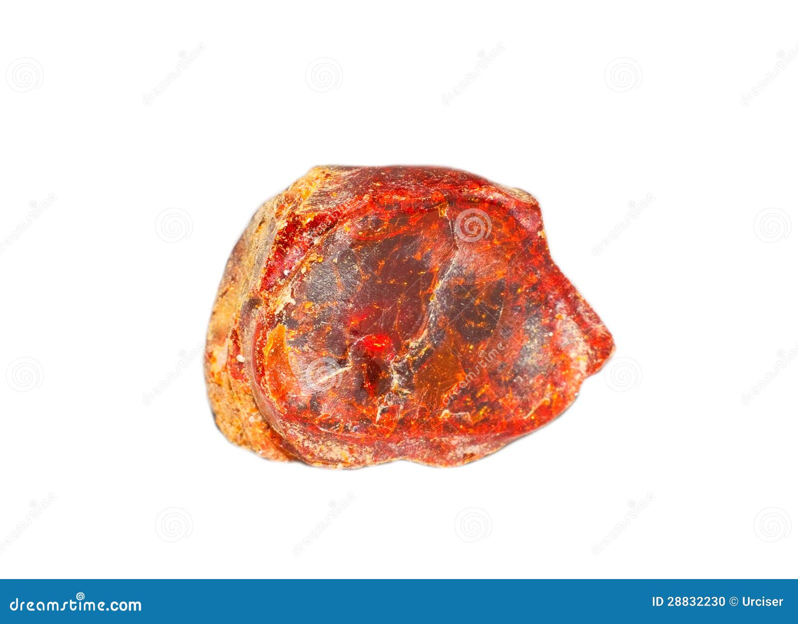 Red amber stock photo. Image of coast, glessit, copal - 28832230