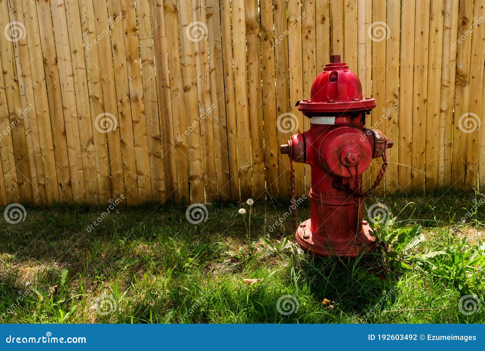 Red American Fire Hydrant stock photo. Image of united - 192603492