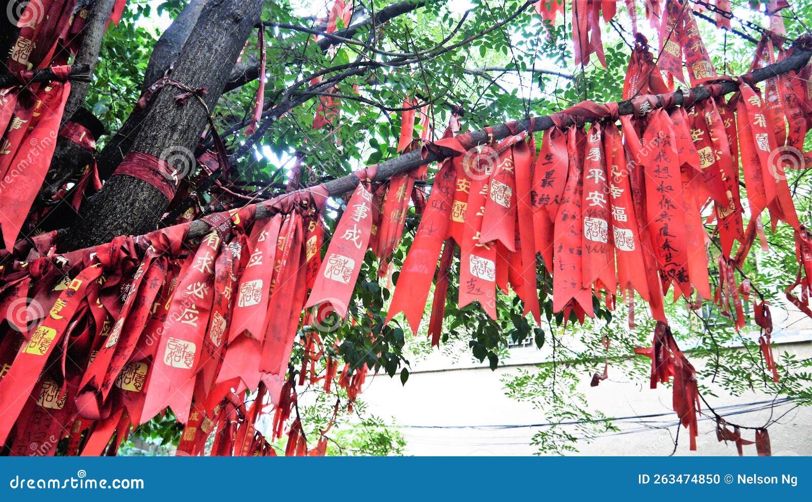 Red Amulet Wishing Prayer of Blessing Hanging on Wall and Trees ...
