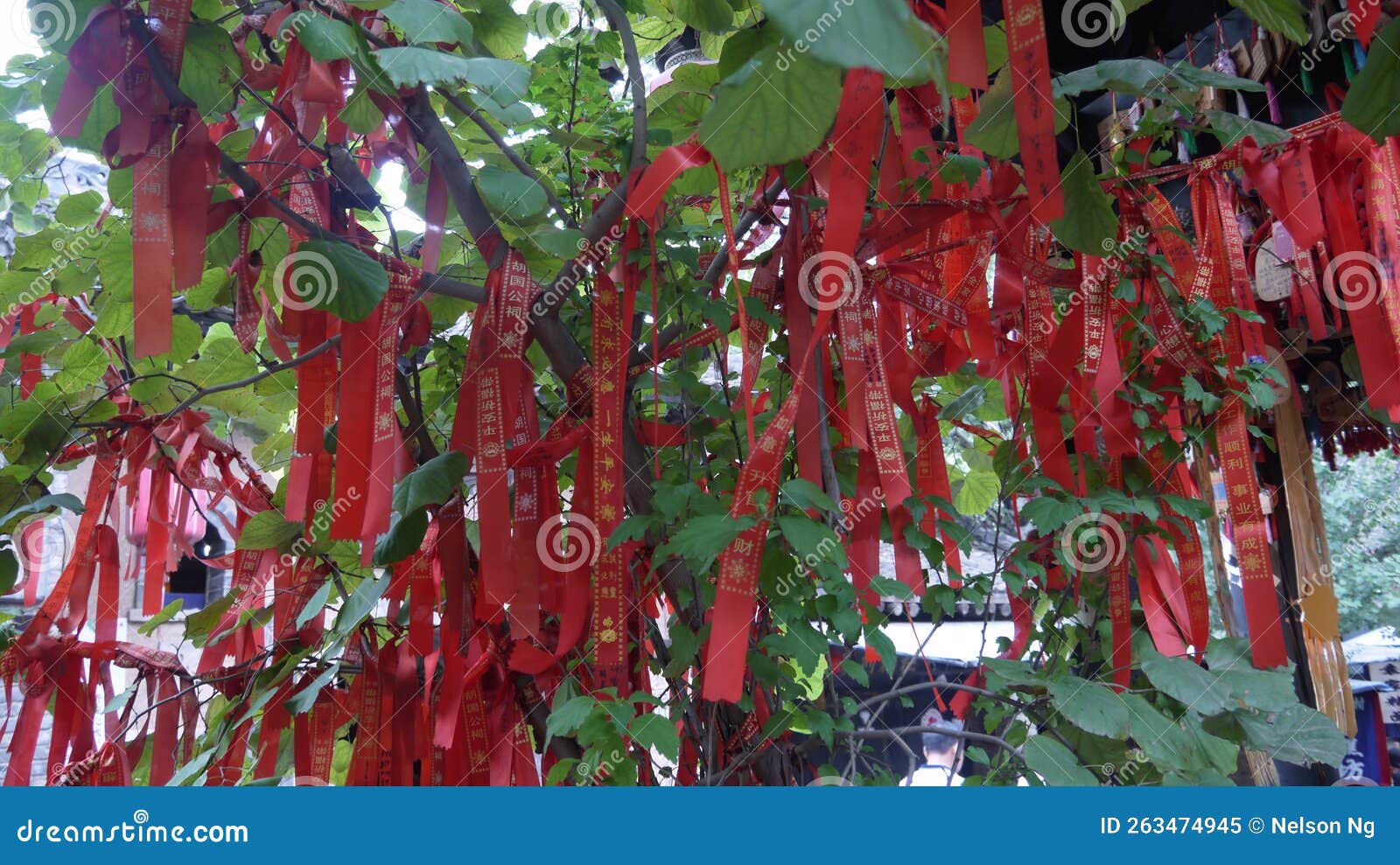 Red Amulet Wishing Prayer of Blessing Hanging on Wall and Trees ...