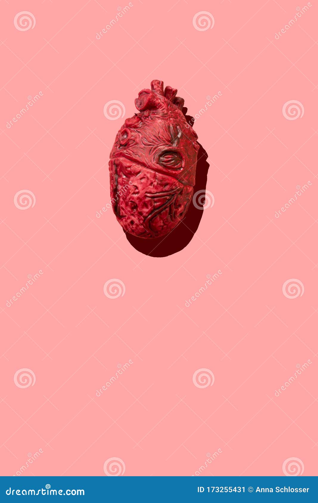 Red Anatomical Rubber Heart with Shadow on a Pink Background Stock ...