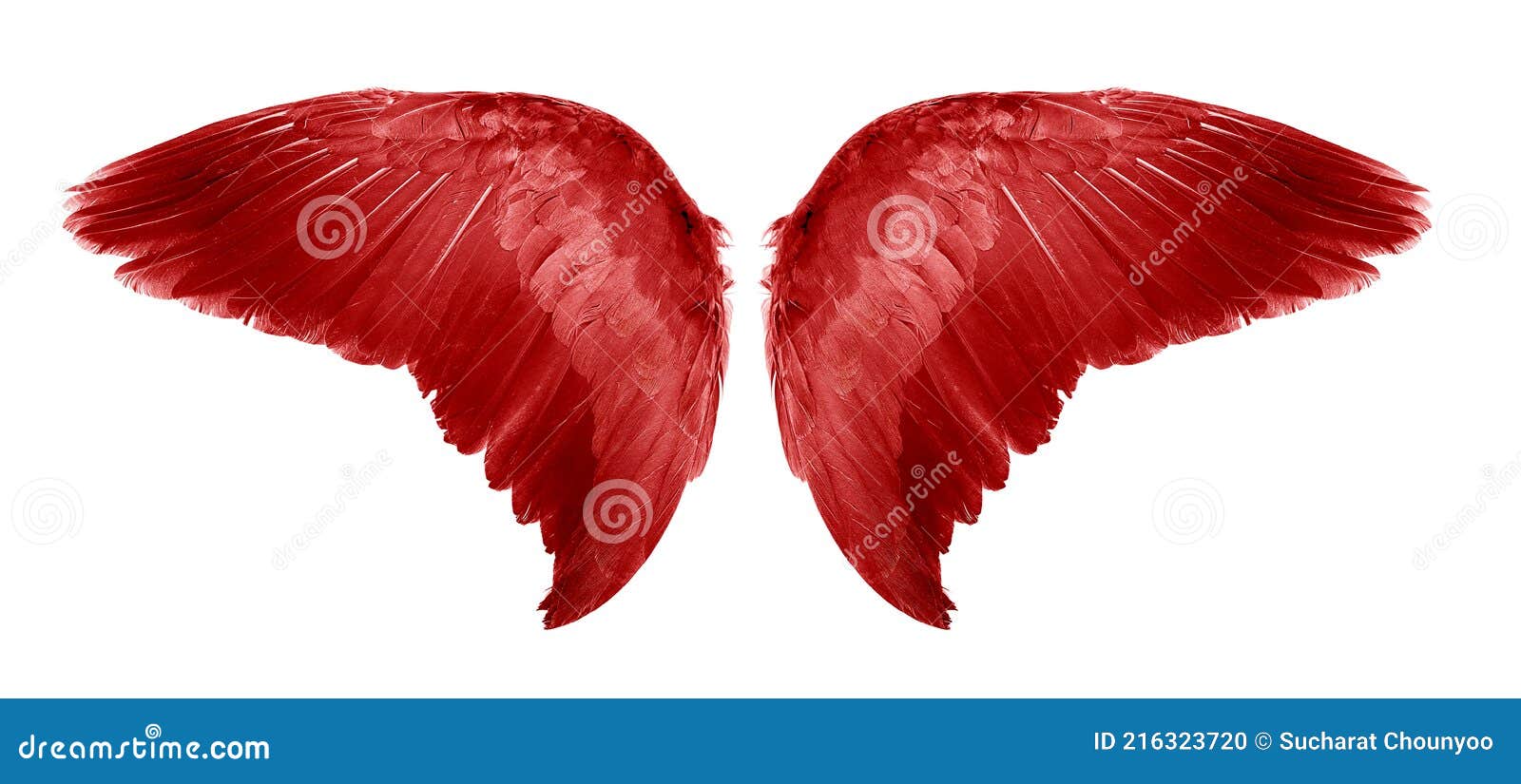 Red Angel Wings an Isolated on White Background Stock Illustration ...