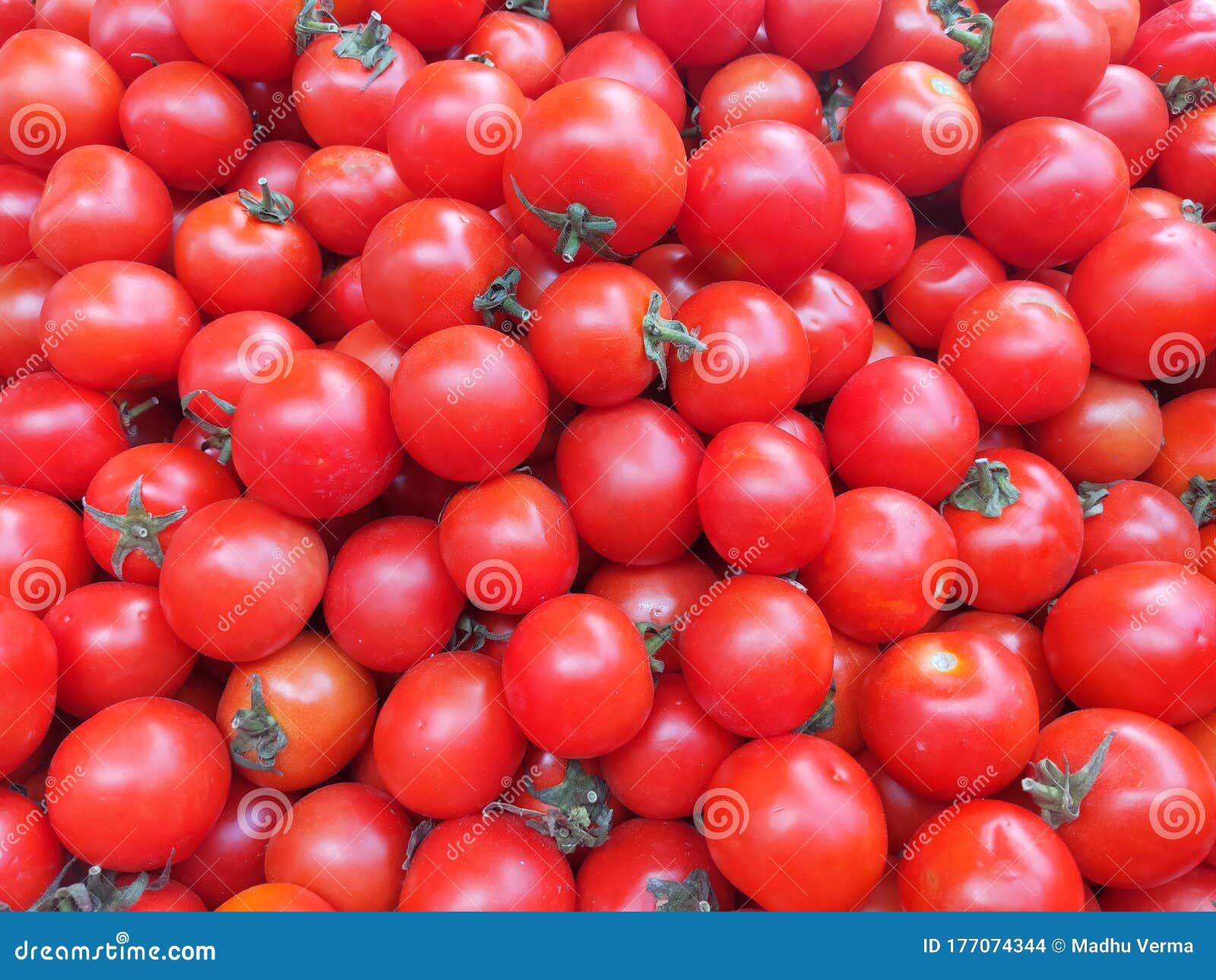 Red Angry Tomatoes Full Concept Wallpaper Stock Photo - Image of ...