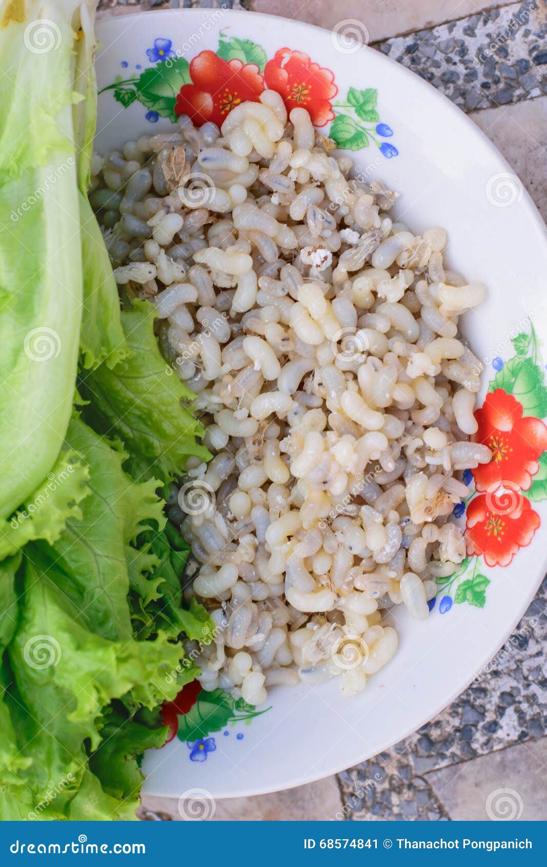 Red ant egg stock image. Image of food, insect, nature - 68574841