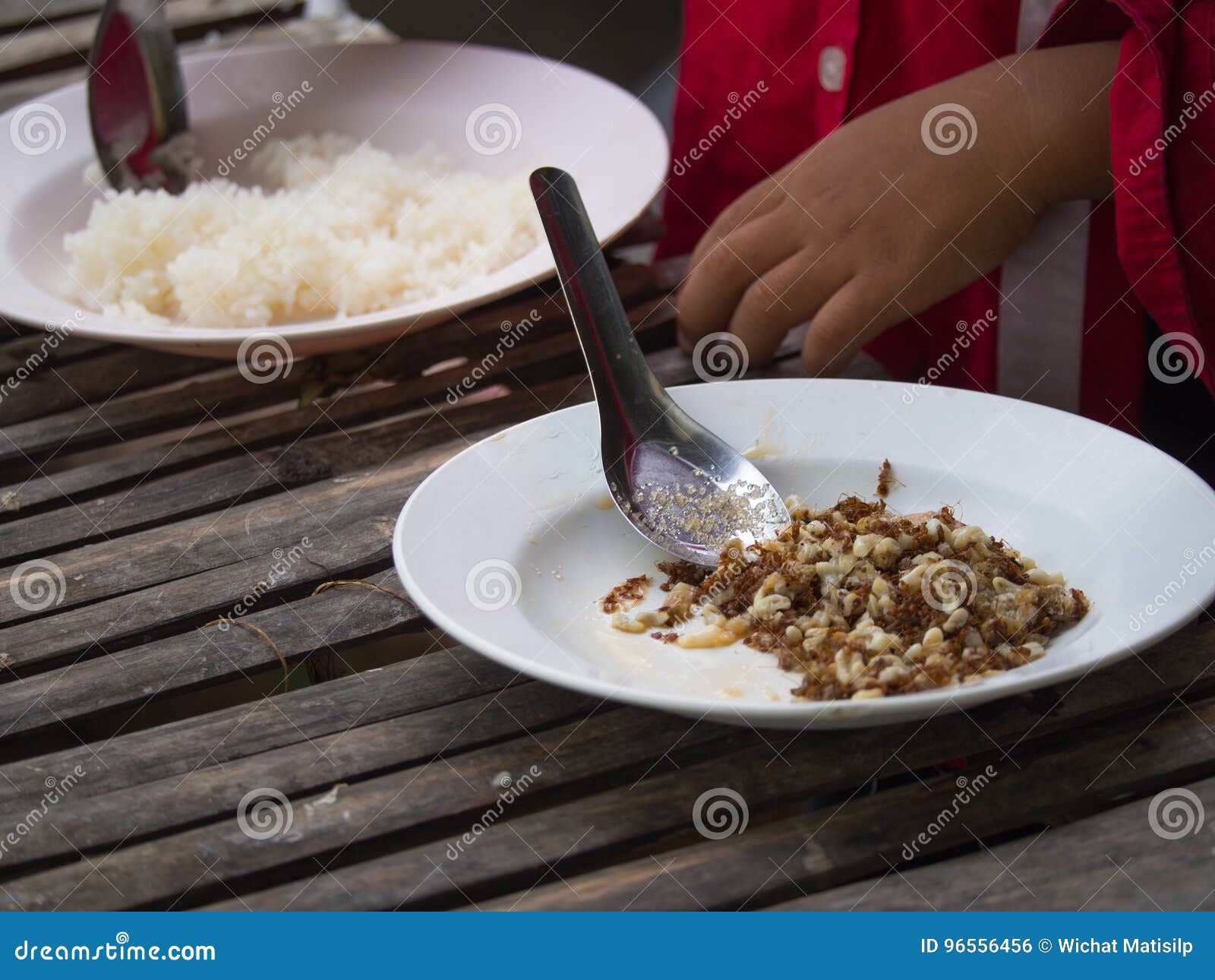Red Ant Egg Food stock photo. Image of nest, insect, asia - 96556456