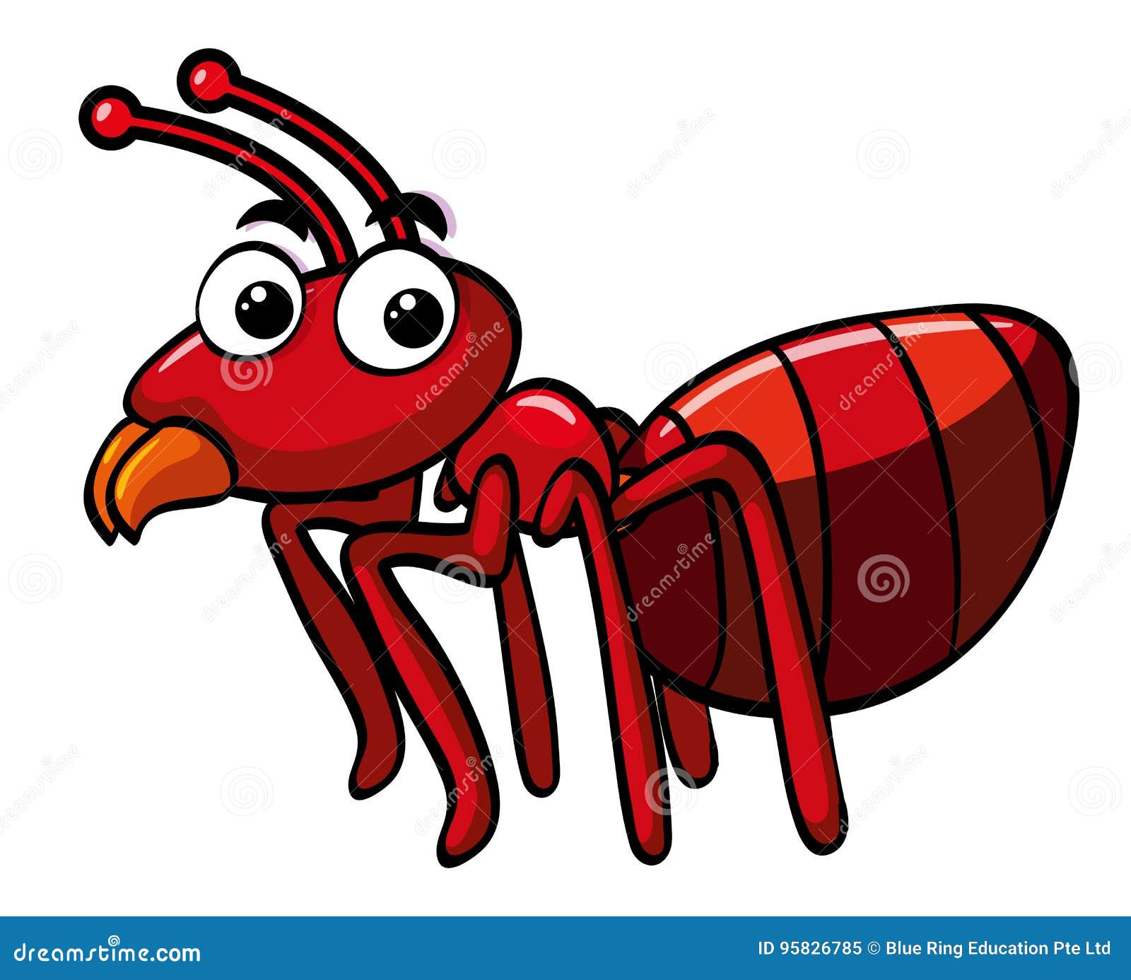 Red Ant on White Background Stock Vector - Illustration of expressing ...