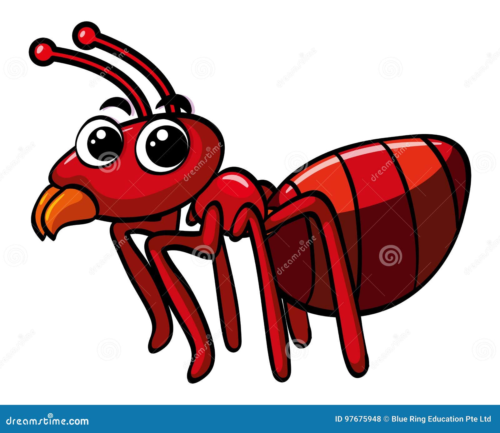 Red Ant on White Background Stock Vector - Illustration of wildlife ...