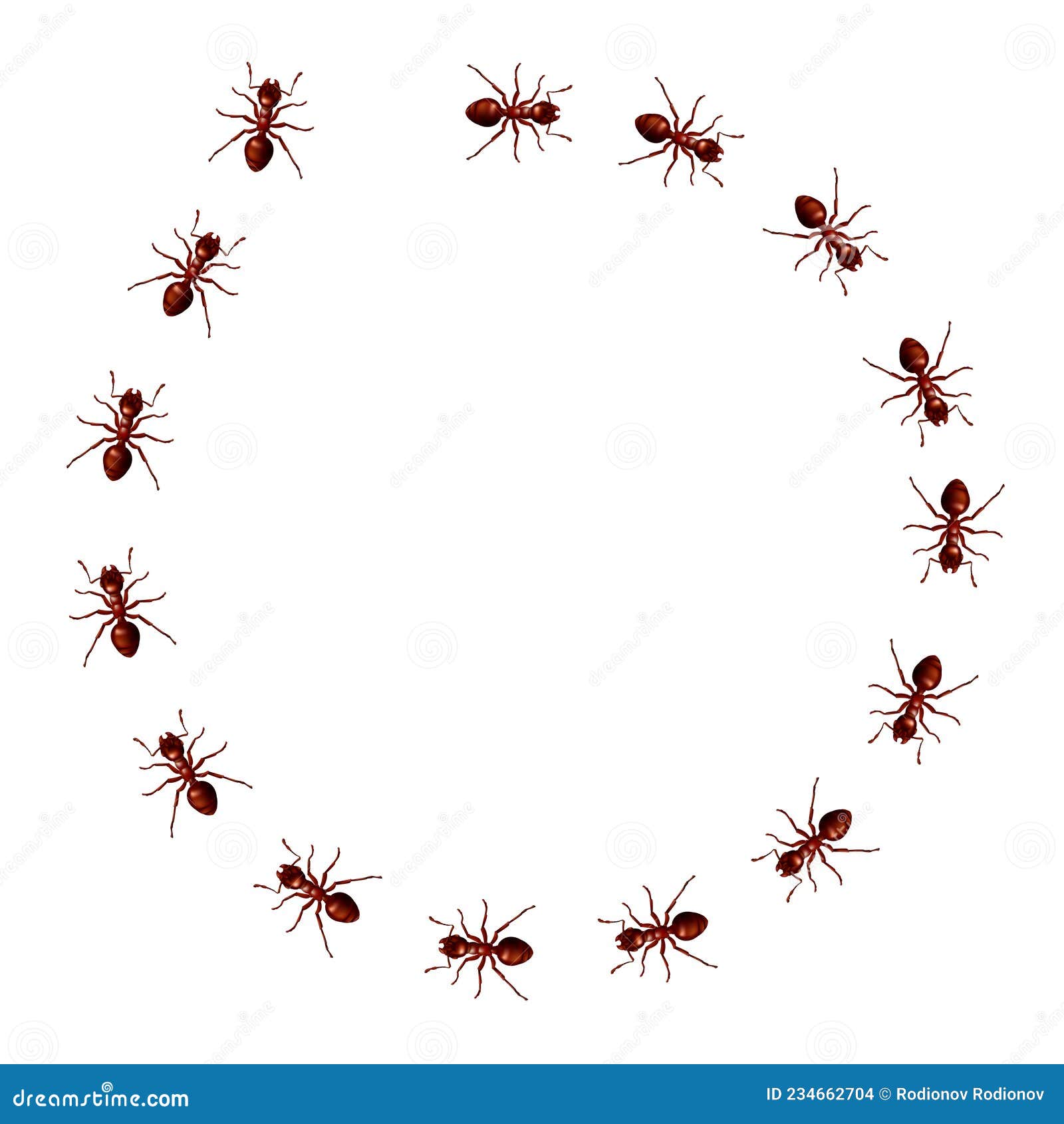 Ants Marching