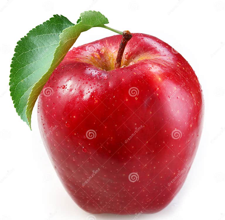 Red apple stock photo. Image of apple, drop, leaf, vivid - 10144712