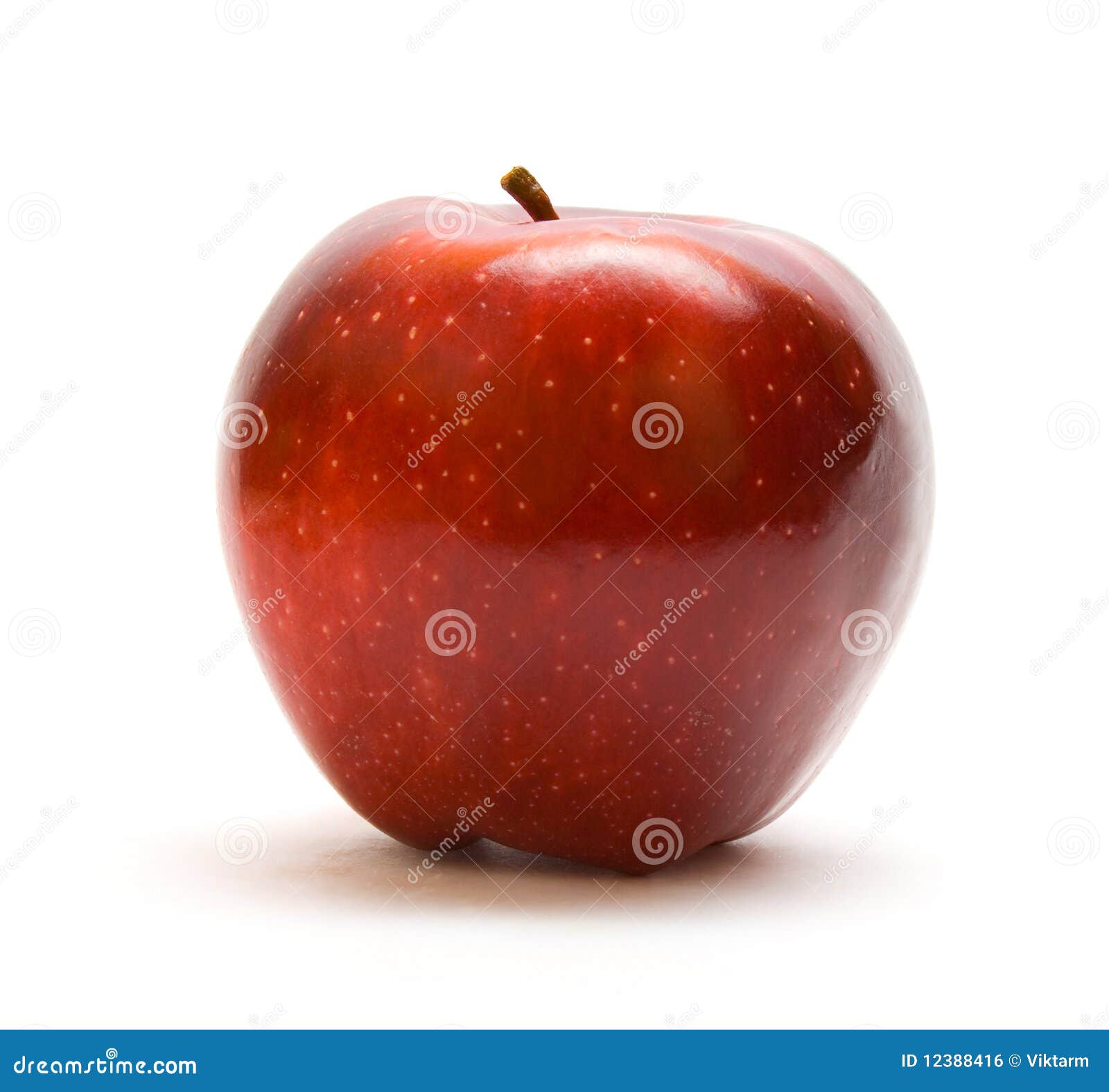 Red apple stock photo. Image of nutrition, fruity, drop - 12388416