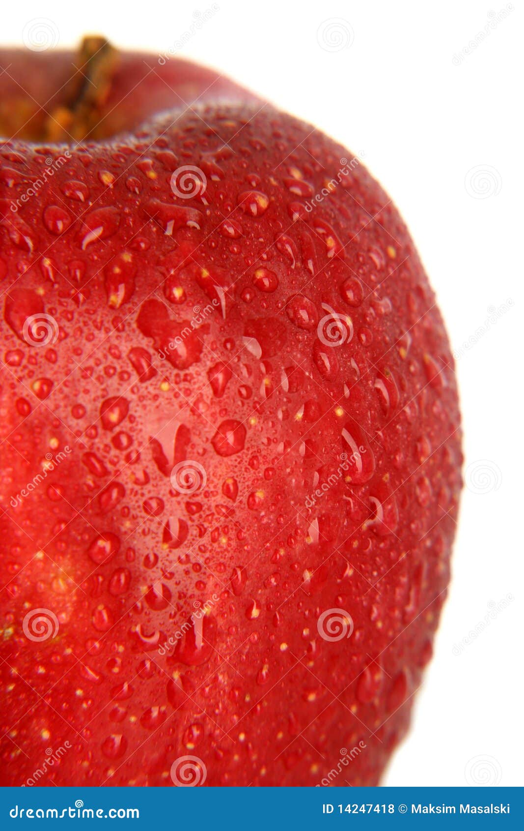 Red apple stock photo. Image of damp, healthy, agriculture - 14247418