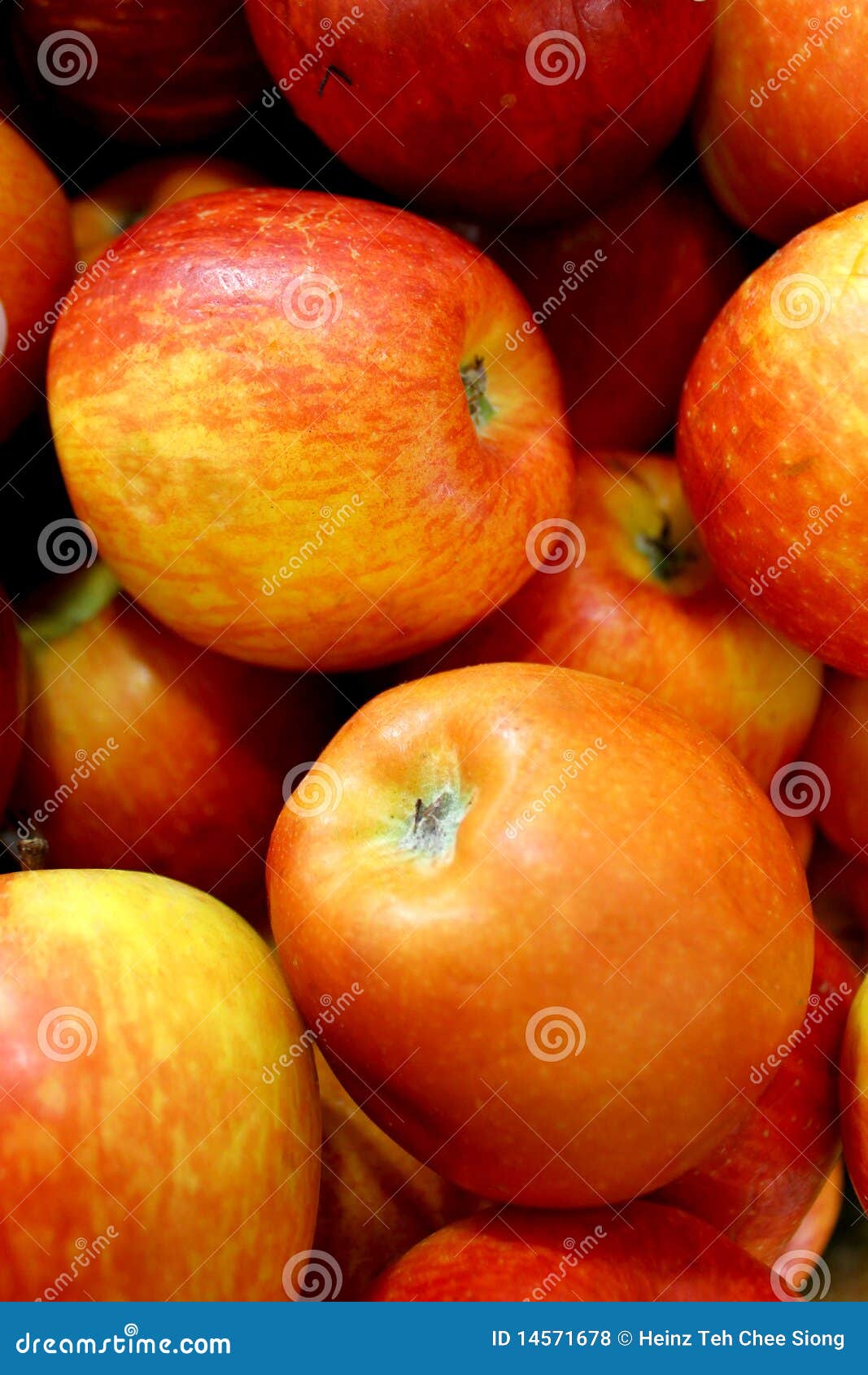 Red Apple Picture. Image: 14571678