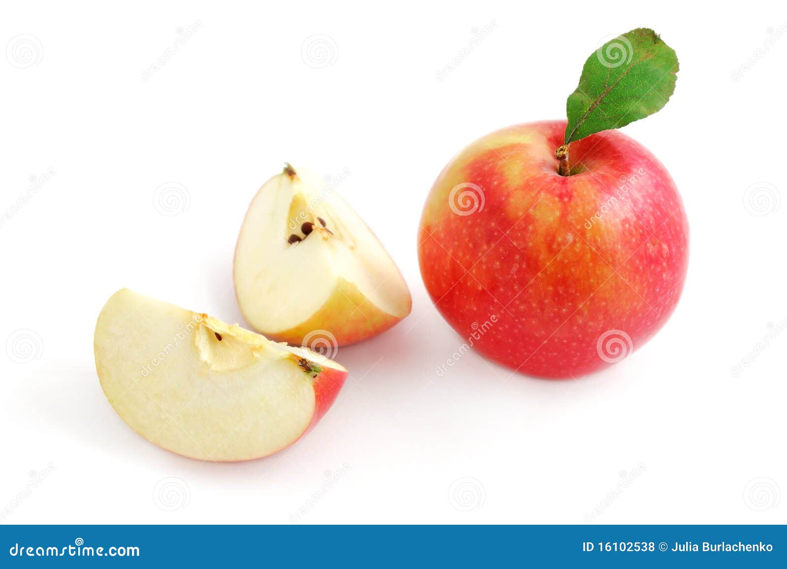 Red apple stock photo. Image of garden, bright, closeup - 16102538