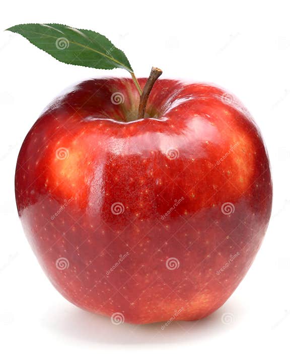Red apple stock image. Image of single, healthy, closeup - 17770223