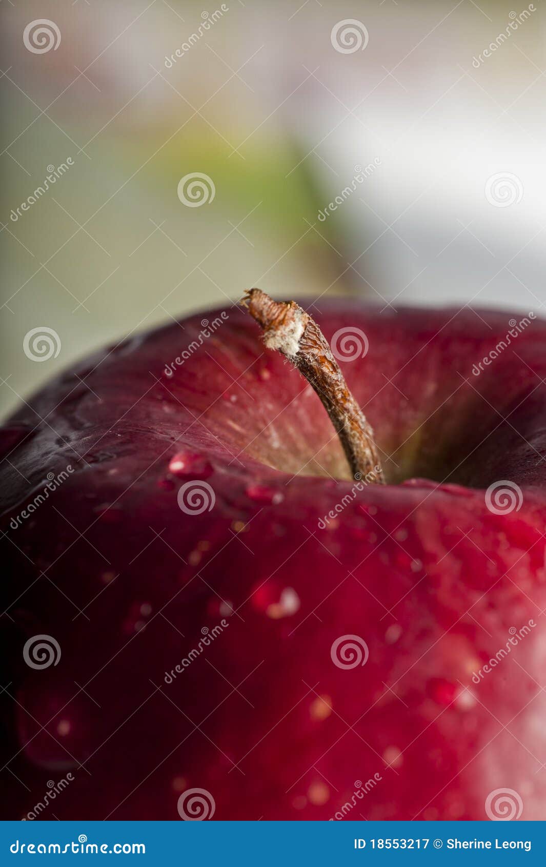 Red Apple stock image. Image of close, single, drink - 18553217