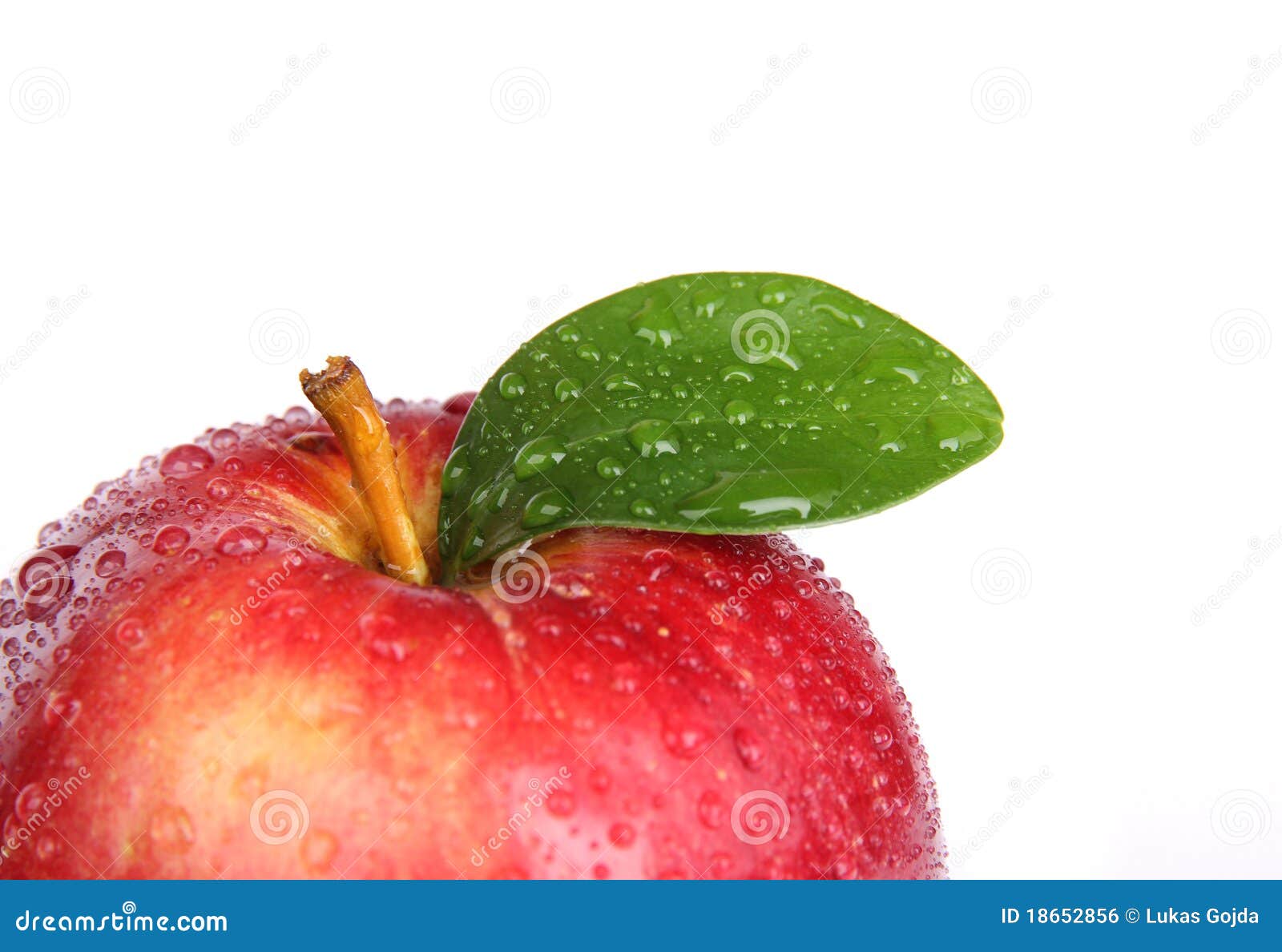 Red apple stock photo. Image of juicy, closeup, healthy - 18652856