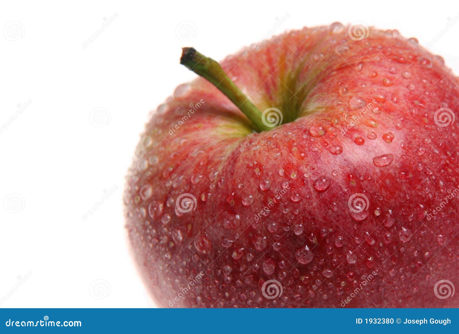 Red Apple stock photo. Image of juicy, food, closeup, nutrition - 1932380