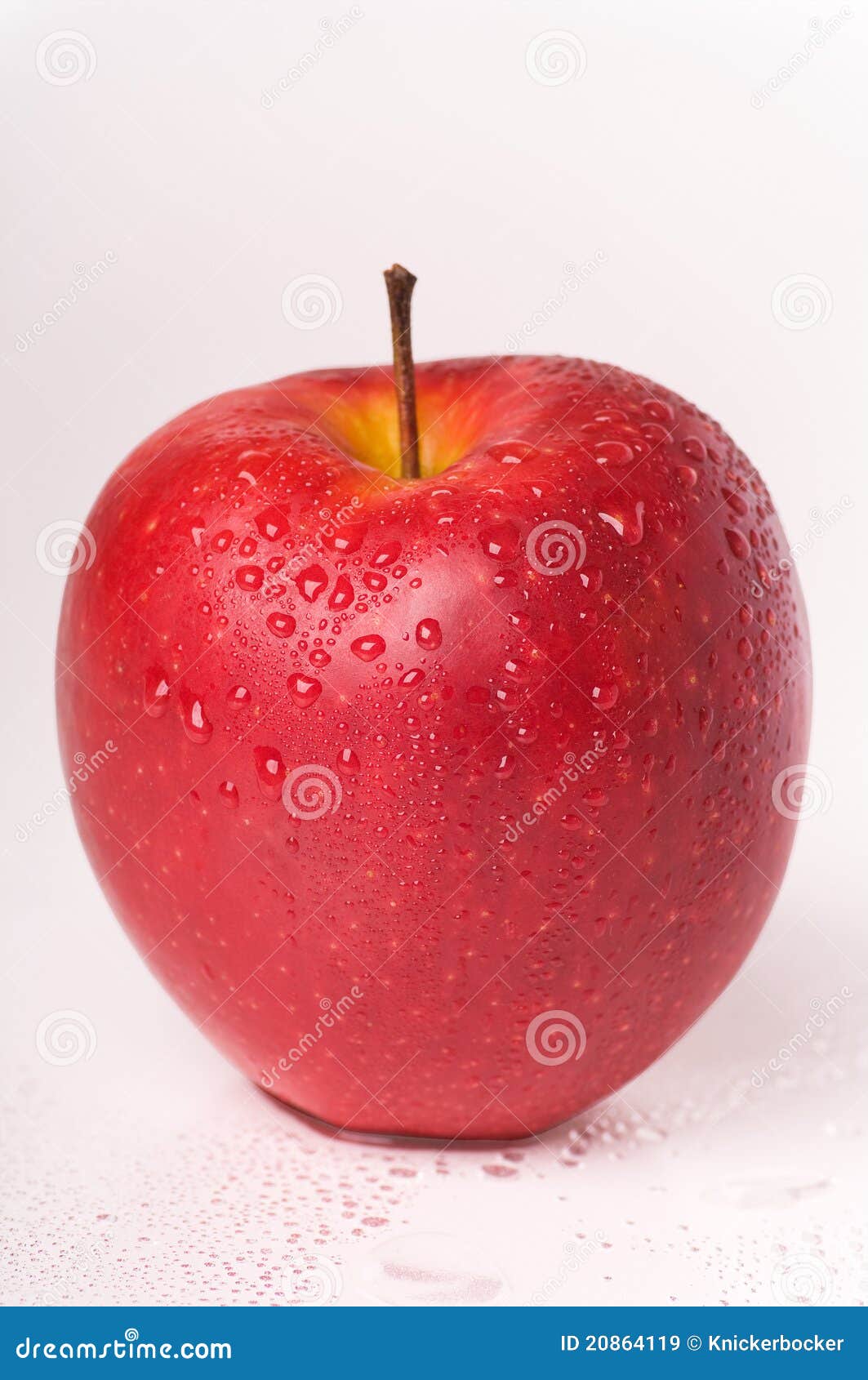Red Apple stock image. Image of produce, food, vitamins - 20864119