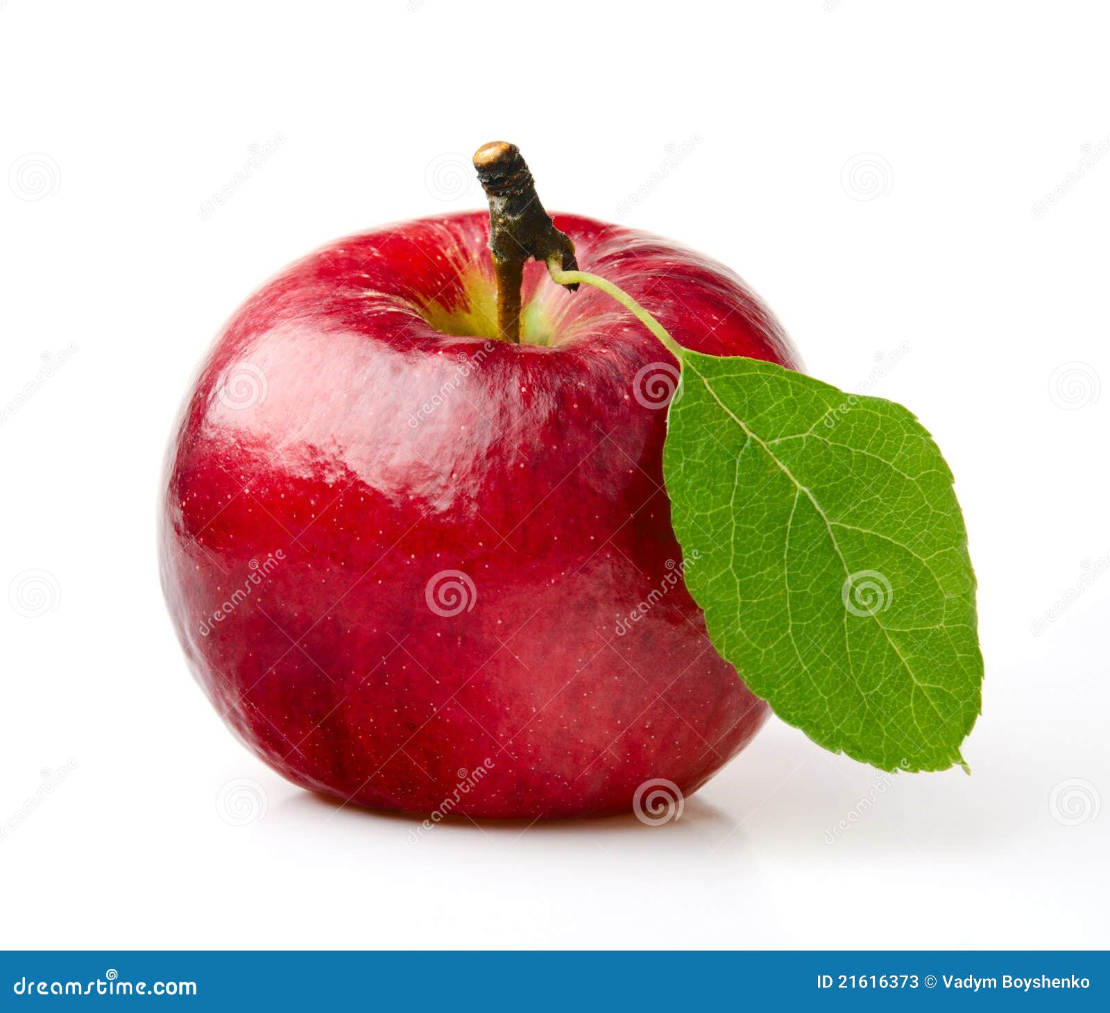 Red Apple stock image. Image of juice, snack, single - 21616373