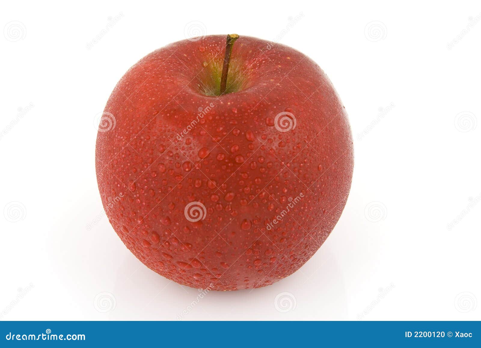 Red apple stock photo. Image of nature, delicious, round - 2200120