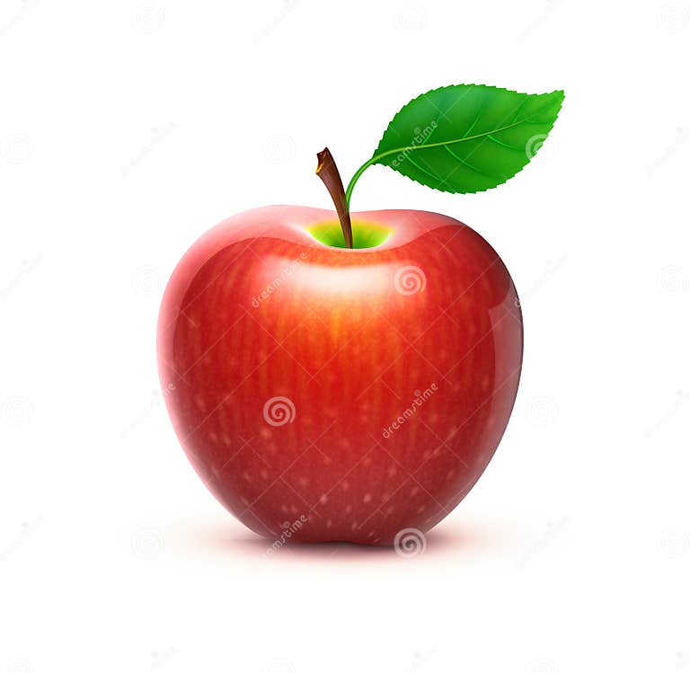 Red apple stock vector. Illustration of color, crop, concept - 24661589