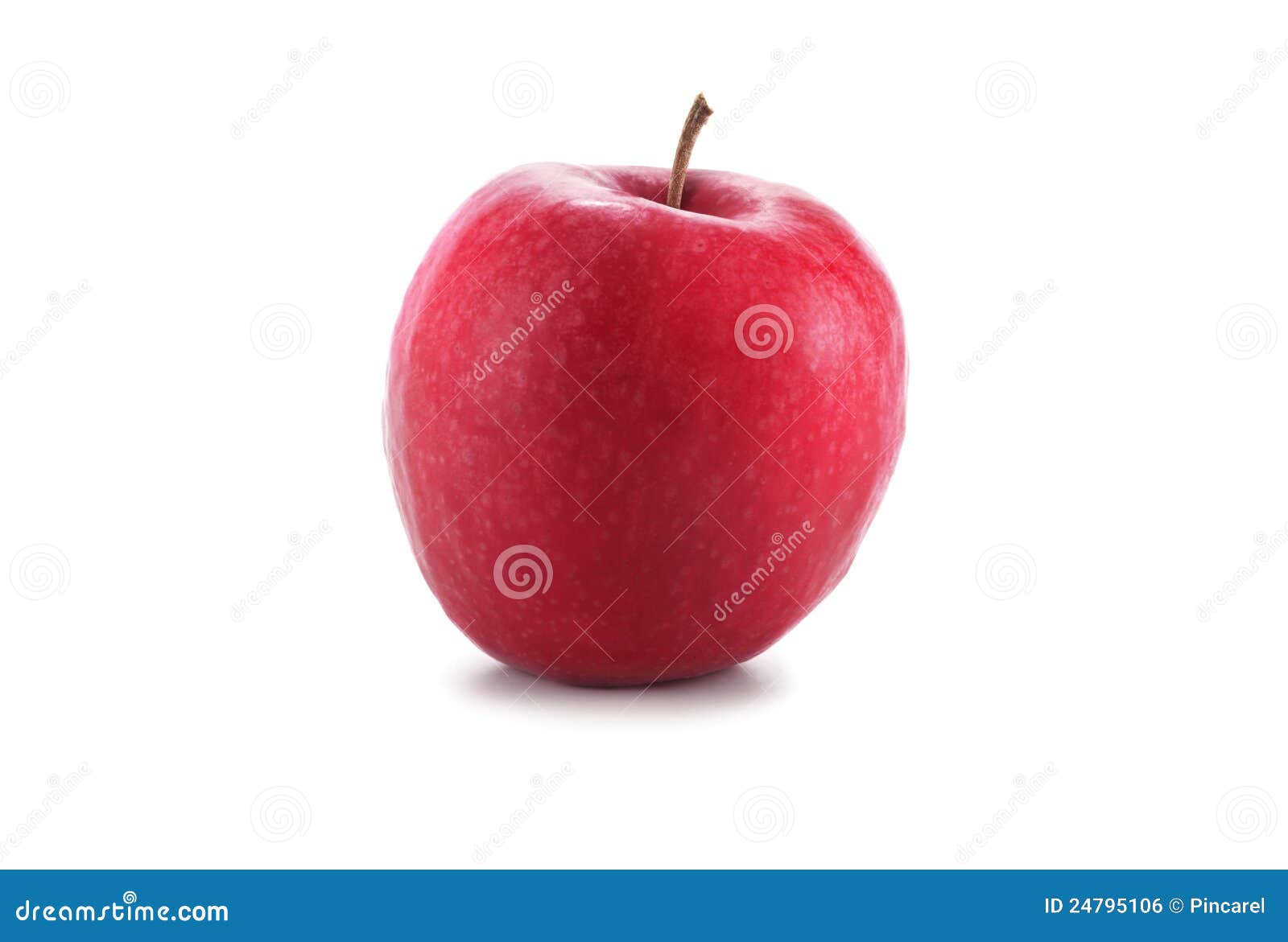 Red Apple stock photo. Image of macro, juicy, groceries - 24795106