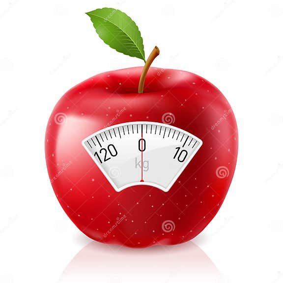 Red Apple stock vector. Illustration of apple, meter - 26572094
