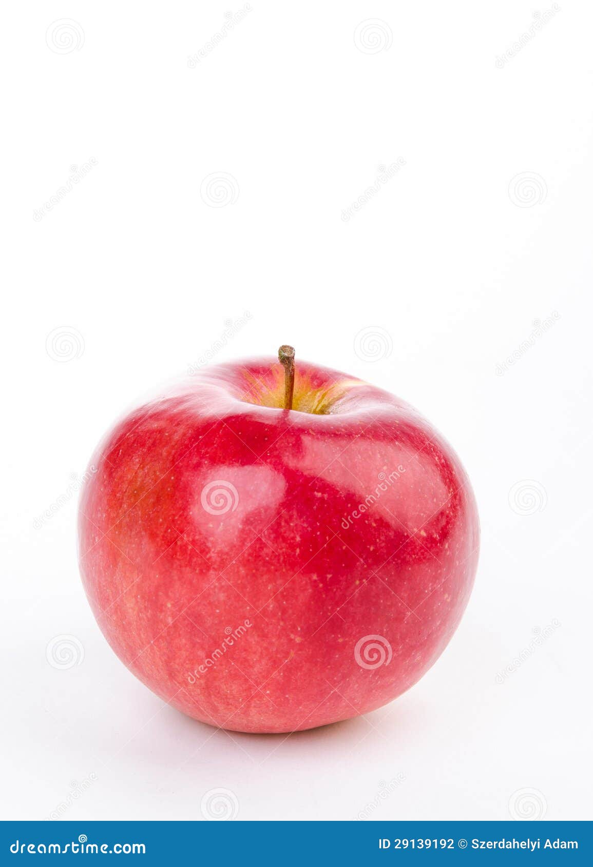 Red apple stock photo. Image of blank, healthy, shape - 29139192