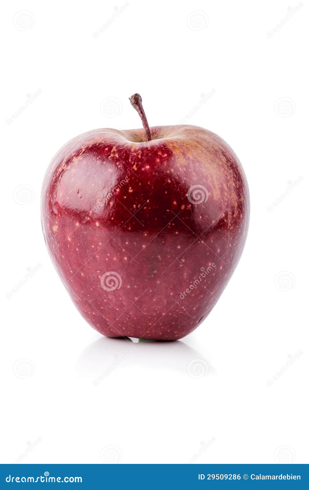Red apple stock photo. Image of fresh, apple, nutrition - 29509286
